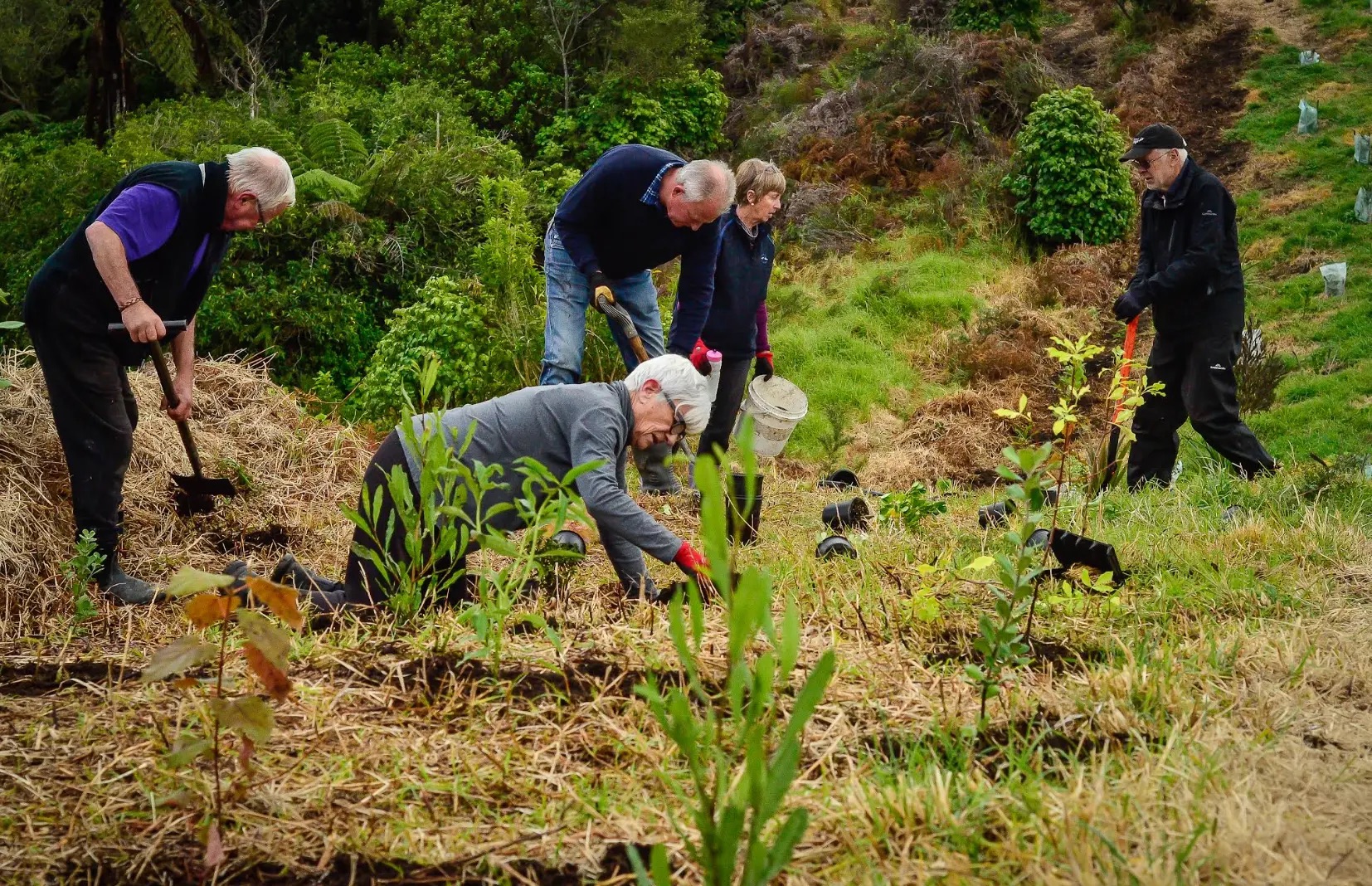 Greenhouse Grows, Trees Flourish: Our Environmental Initiative - Vinox ...